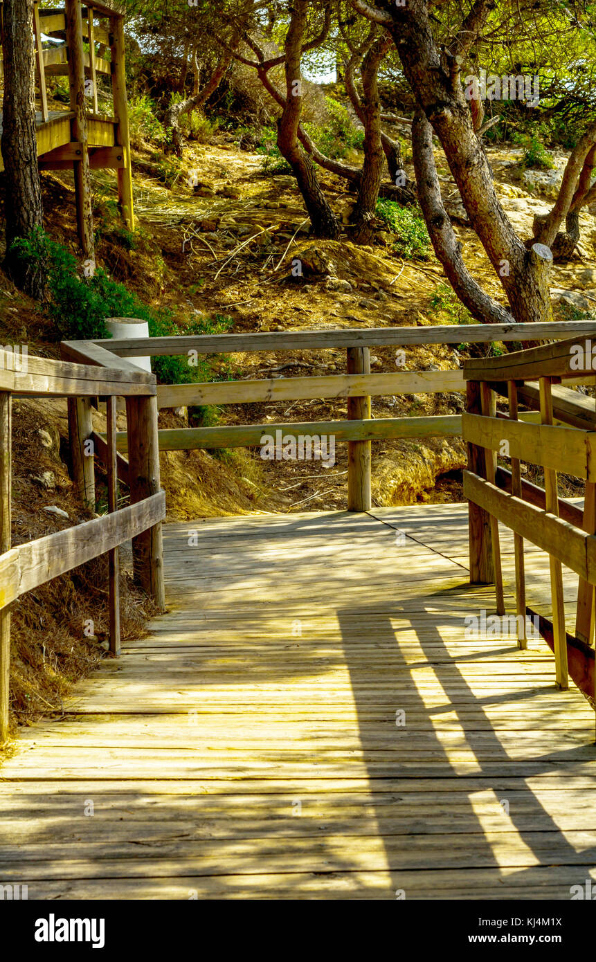 wooden boardwalk leading to the sandy beach, the path by the sea, green ...