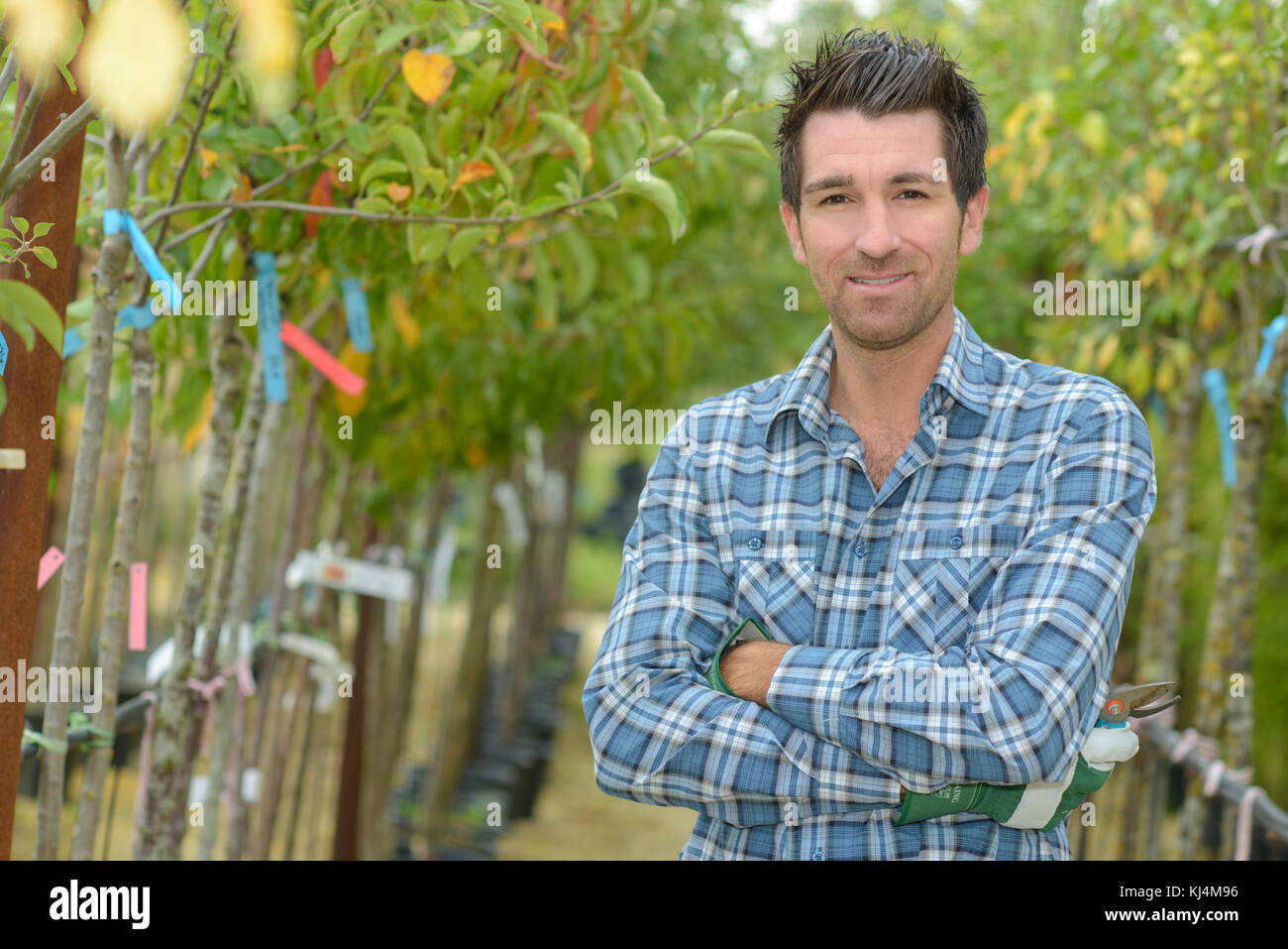 Young grafted fruit trees hi-res stock photography and images - Alamy