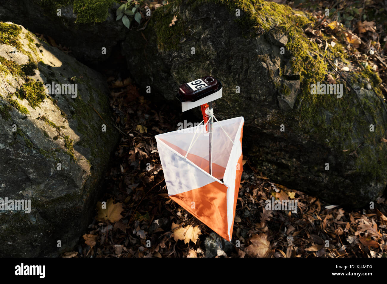 Control Point Forest Orienteering Stock Photo - Alamy
