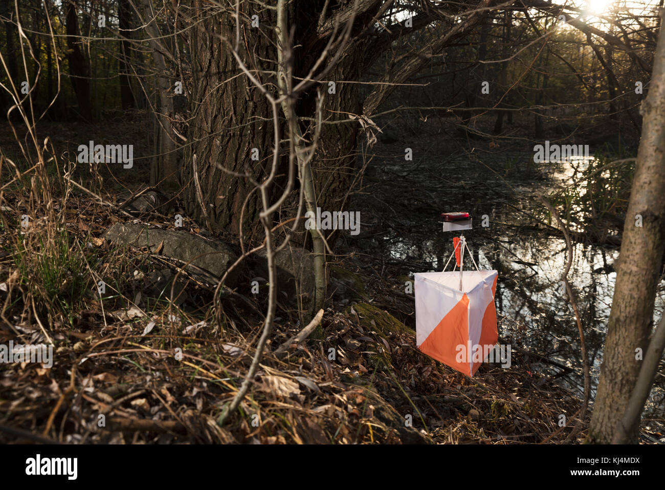 Water Orienteering Forest Cross Country Stock Photo - Alamy