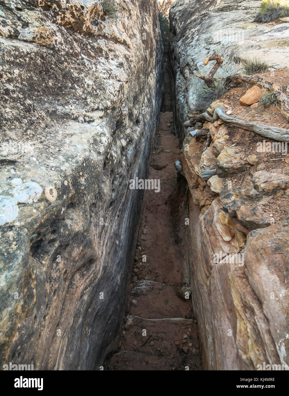 Narrow path between rocks in Needles District, Canyonlands Stock Photo ...