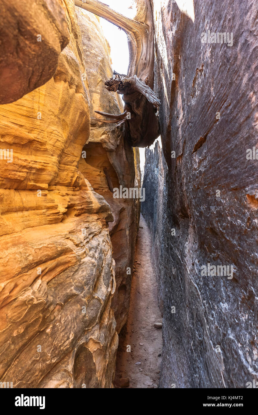 Narrow path between rocks in Needles District, Canyonlands Stock Photo ...