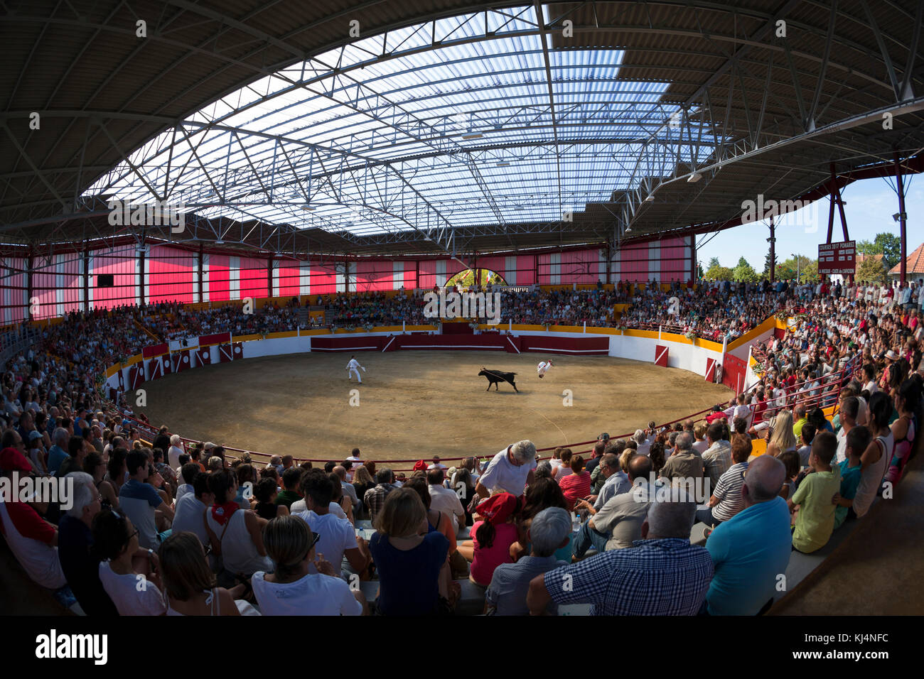 Spectateur hi-res stock photography and images - Alamy