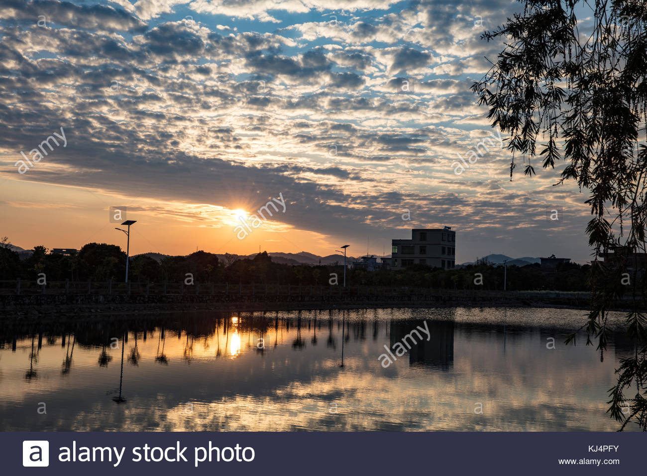 Riverside Plants Stock Photos & Riverside Plants Stock Images - Alamy