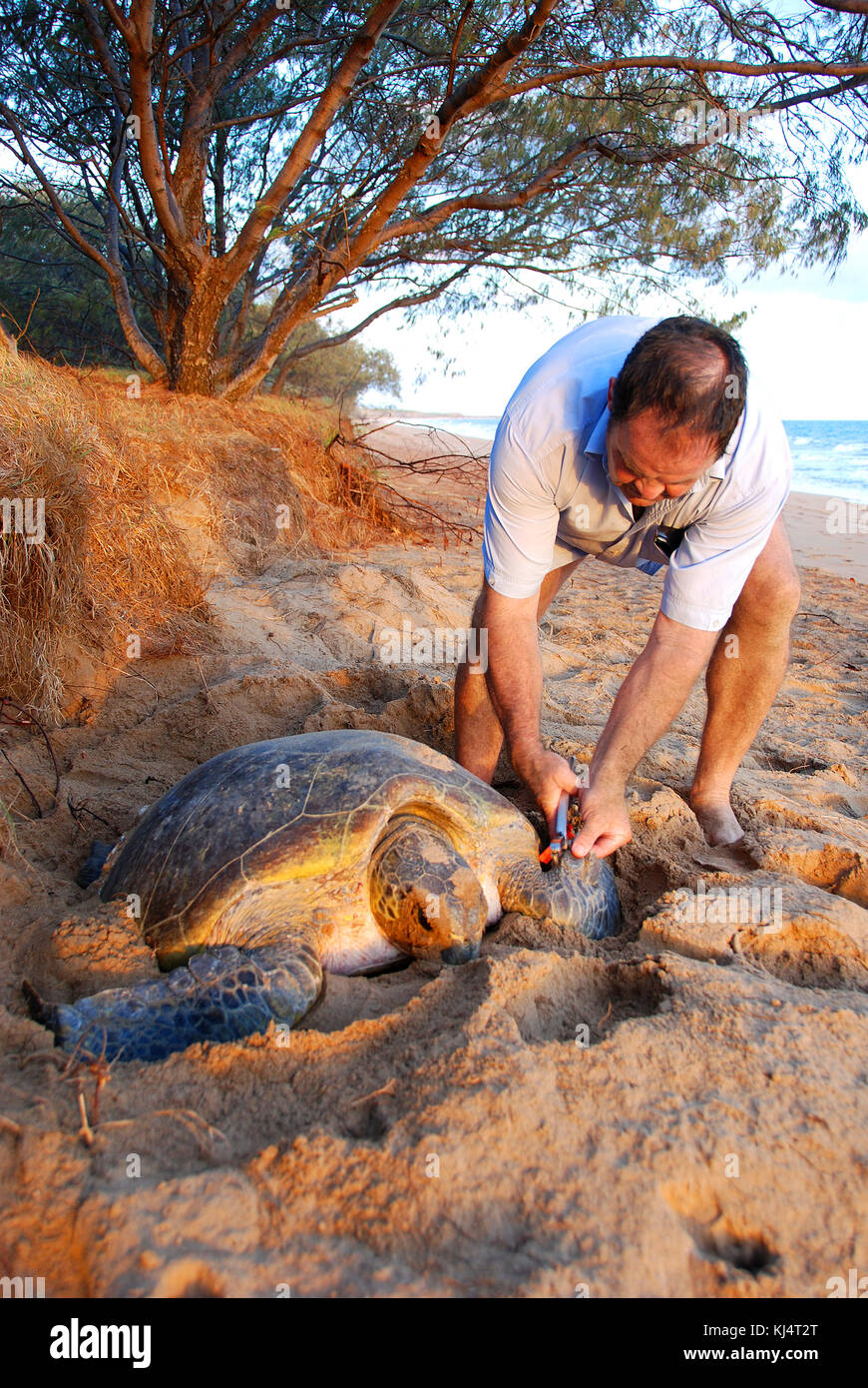 Environmental protection officer hi-res stock photography and images ...
