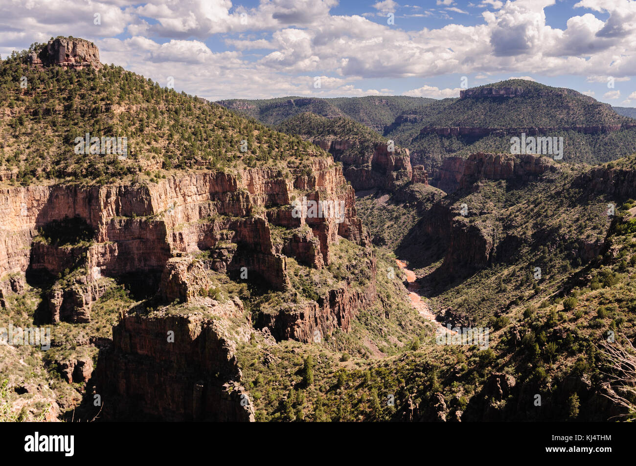 Becker Butte and the Salt River Stock Photo - Alamy