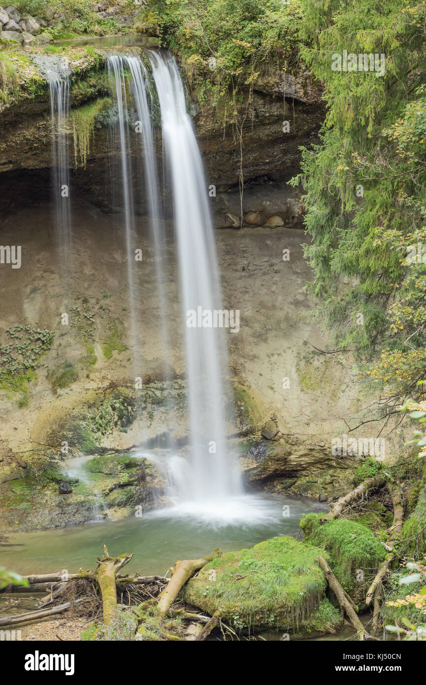 View of the lower stage of the Scheidegger waterfall in the forest near ...