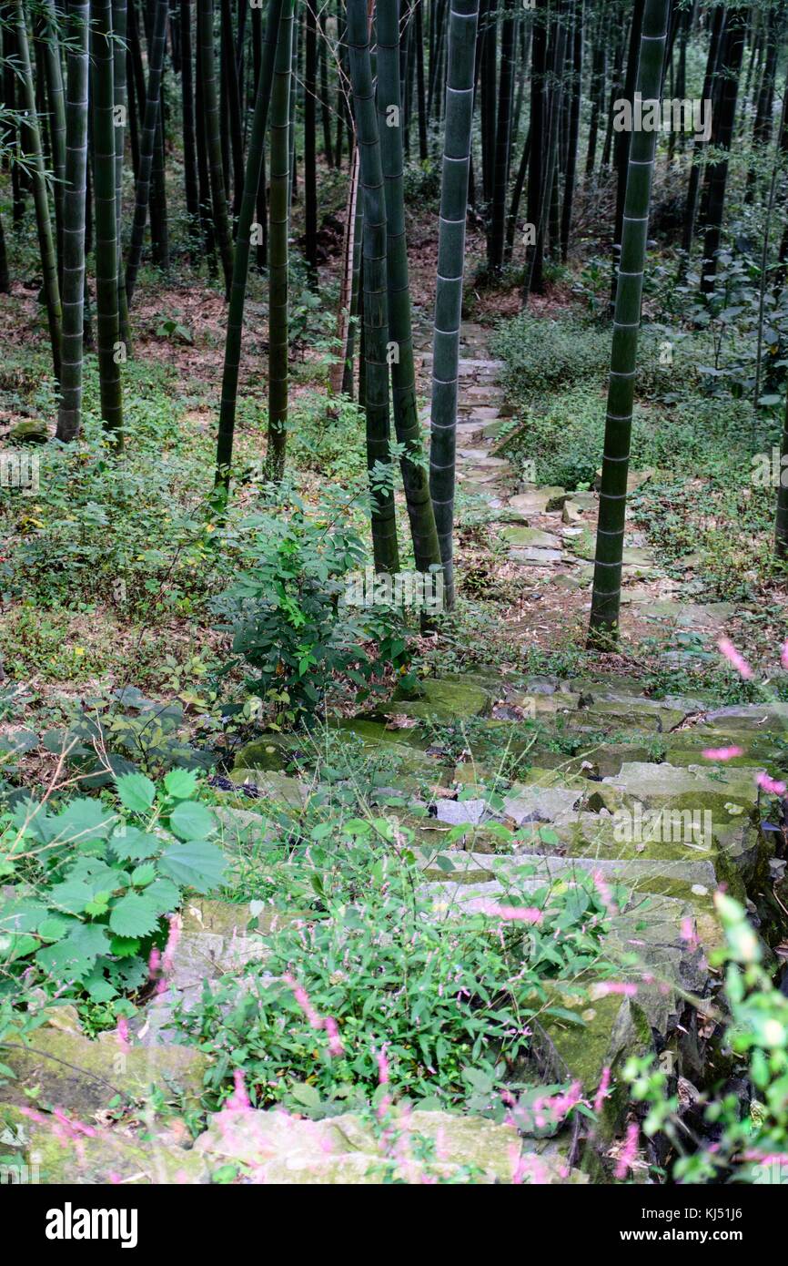 Pathways China High Resolution Stock Photography and Images - Alamy