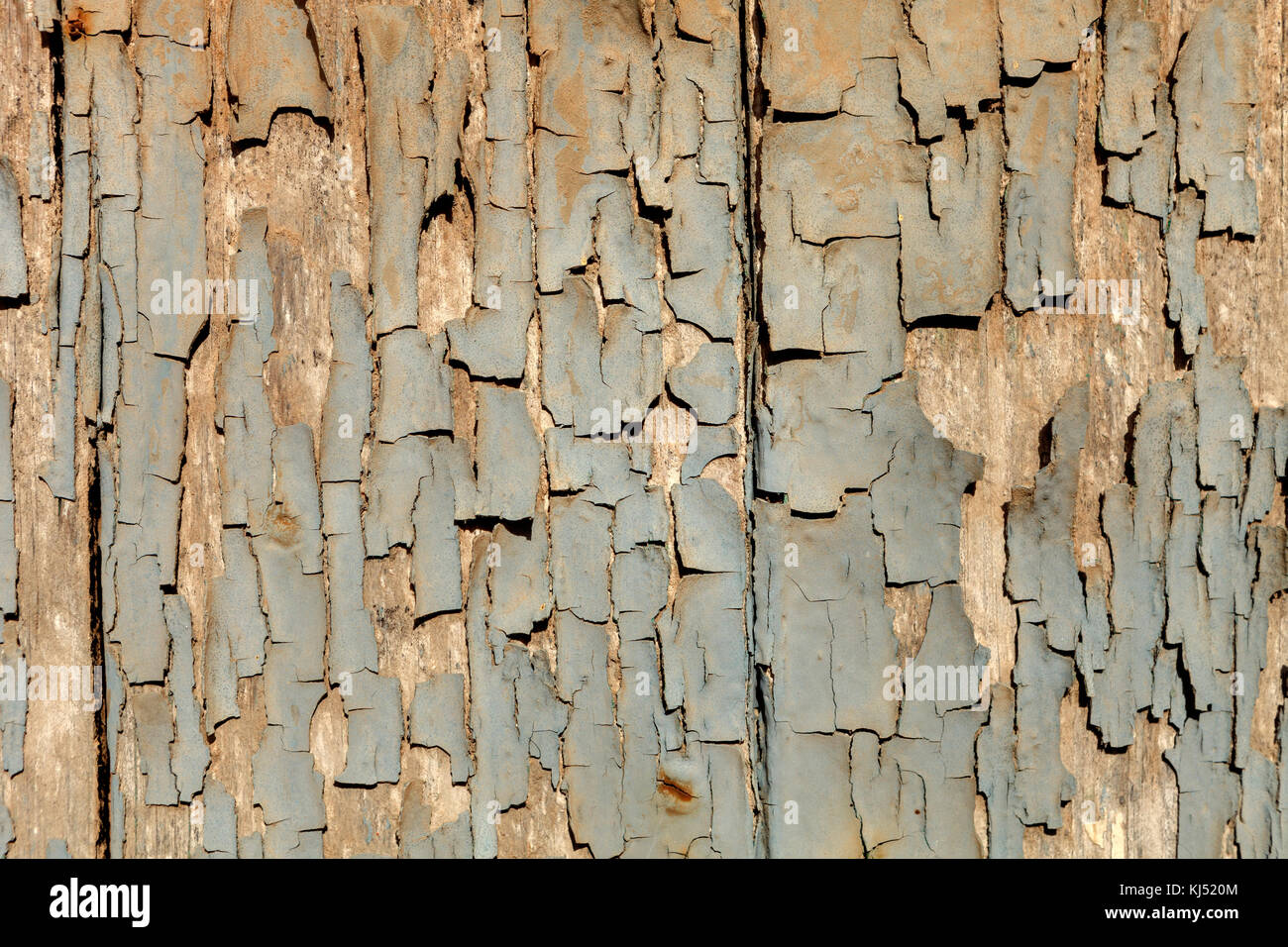 Grey woodgrain hi-res stock photography and images - Alamy