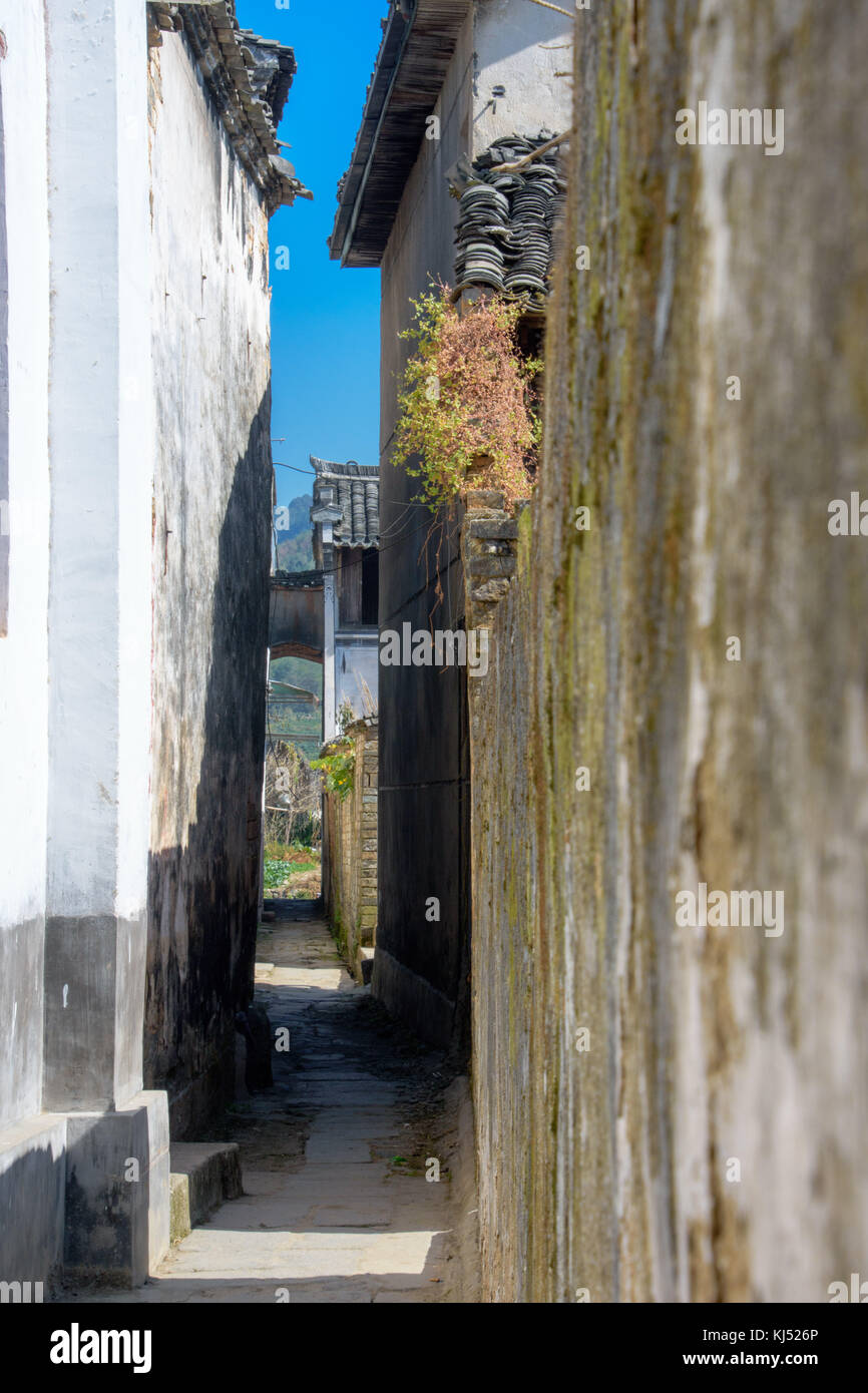 Narrow walking path through tall walls at Chengkan ancient town in ...