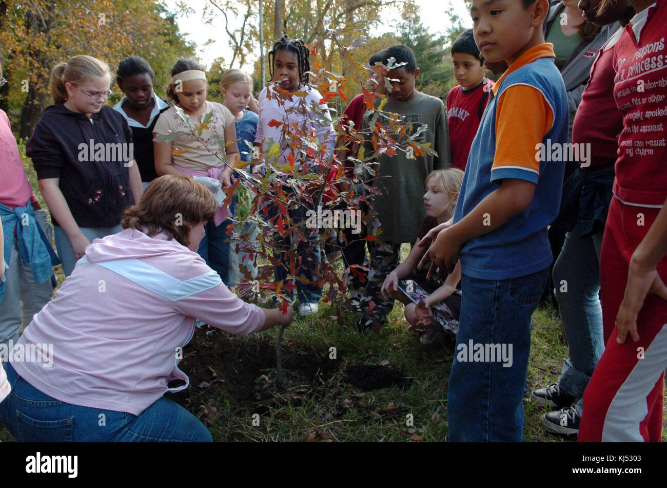 Children learn about planting trees Stock Photo - Alamy
