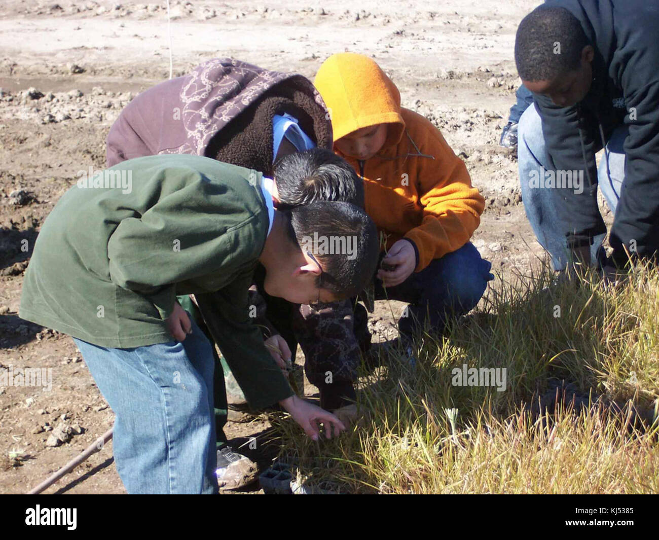 Children playing with grass Stock Photo - Alamy