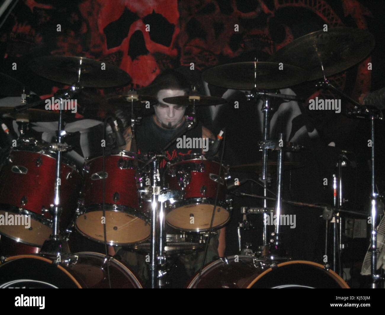 Vesania band 6 Stock Photo - Alamy
