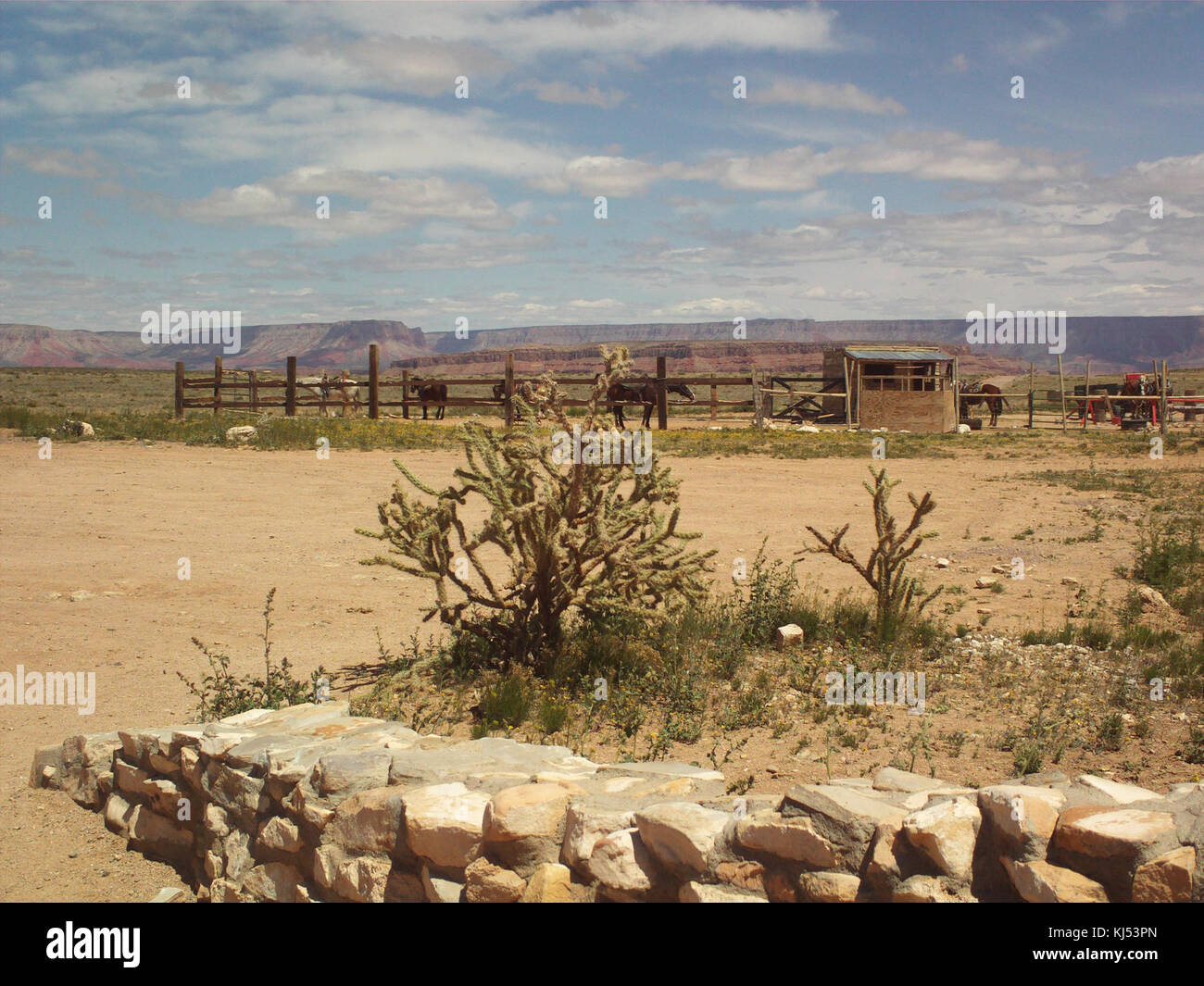 Hualapai tribe hi-res stock photography and images - Alamy