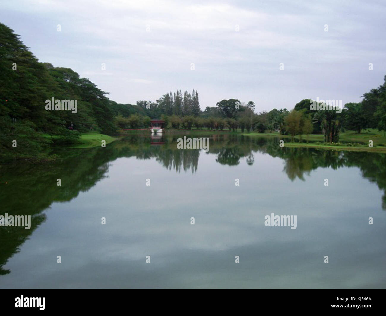 Taiping Lake Gardens Stock Photo - Alamy