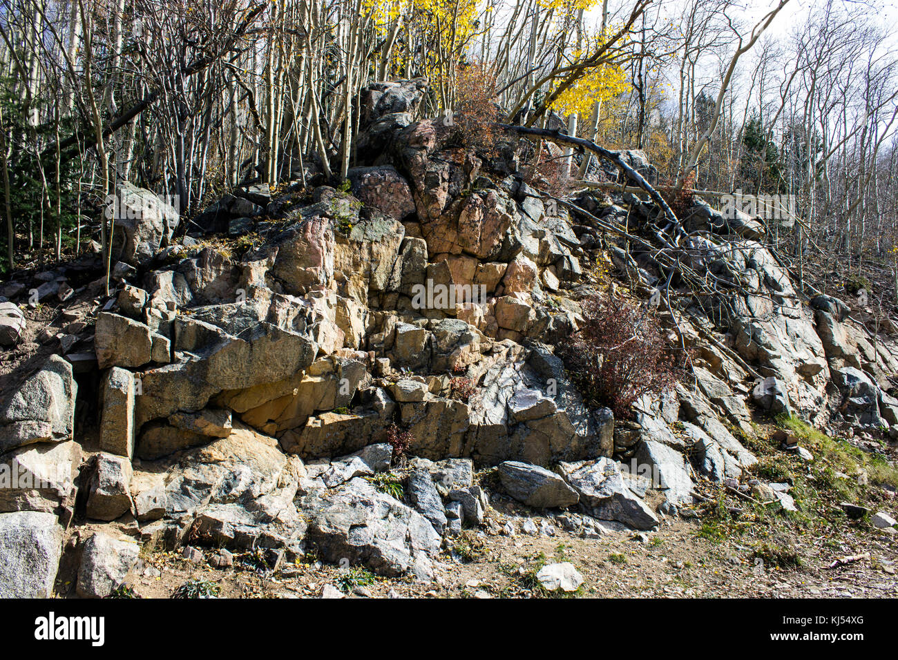 A wall of rocks is located next to the road on the aspen forest Stock ...