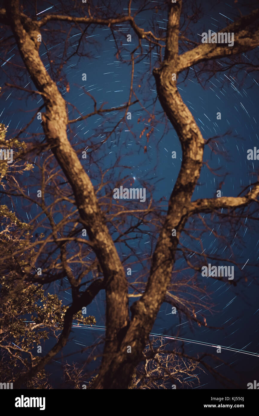 Pictures of star trails hi-res stock photography and images - Alamy