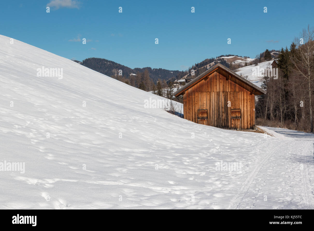 Small Wooden Shack Among Trees in Winter day with Fresh Snow in the ...