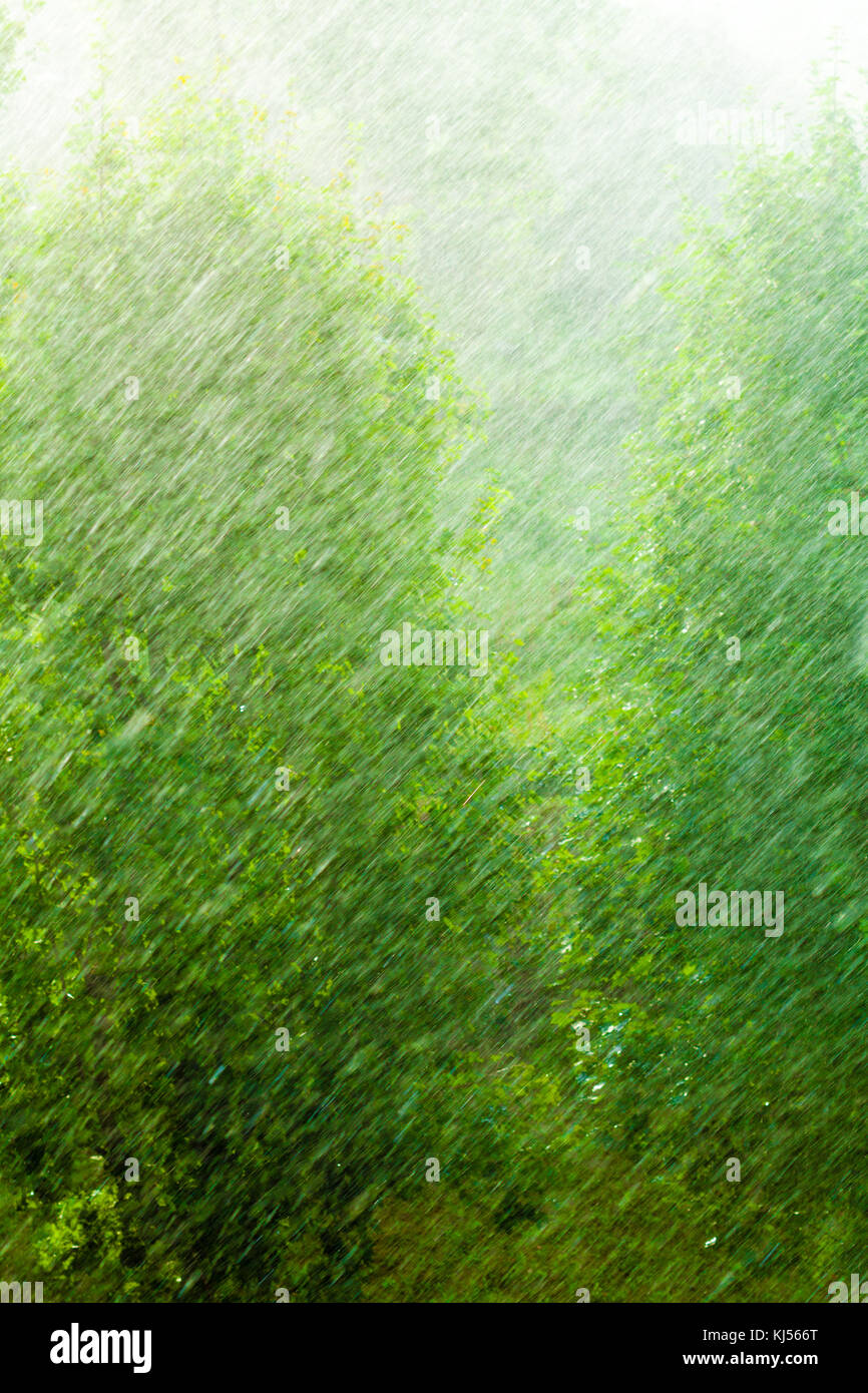 Summer rainy outside window, water drops droplets raindrops on glass windowpane as background ...