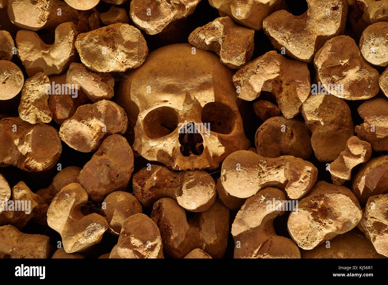 Wall made of human bones Stock Photo - Alamy