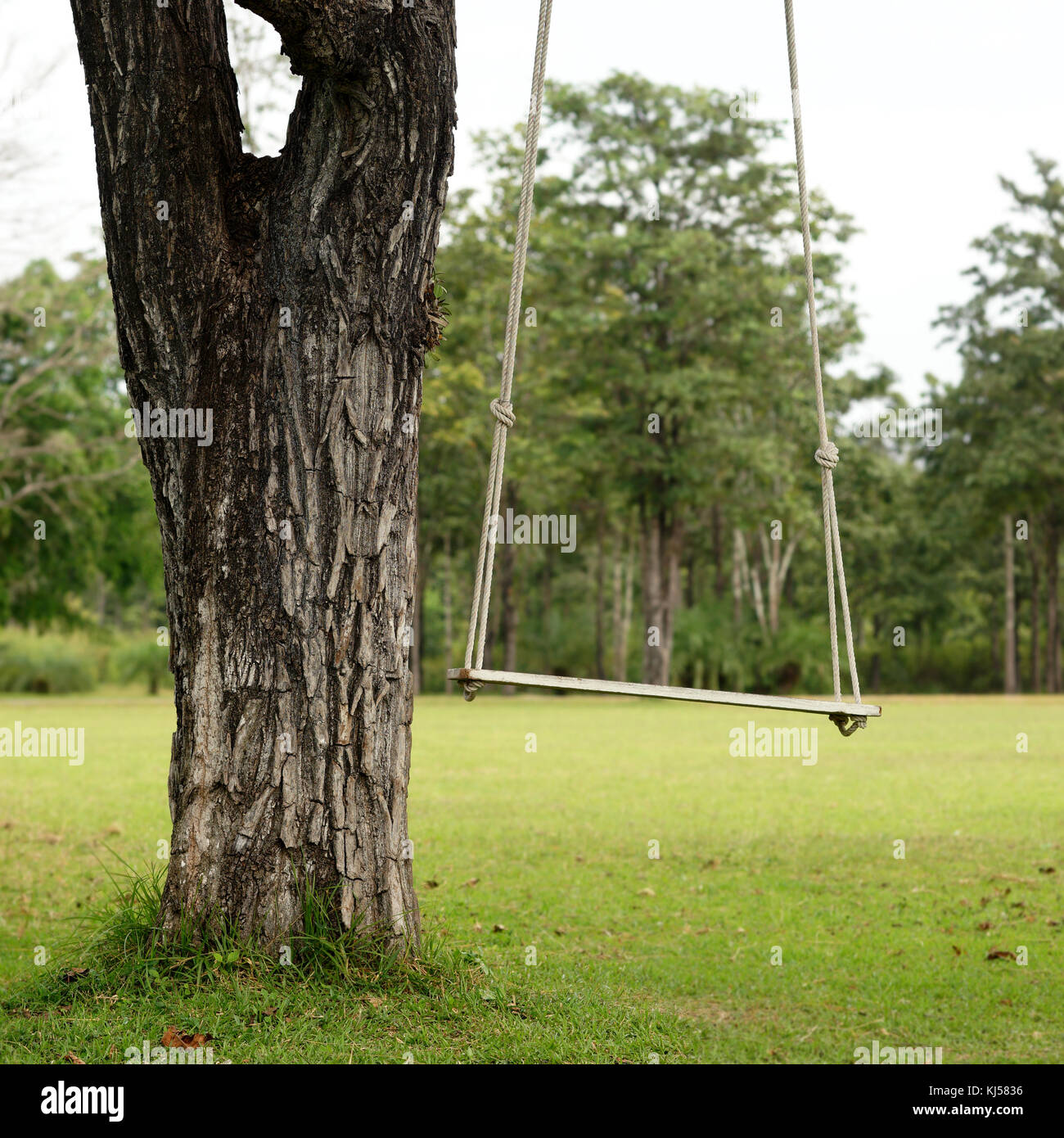 Empty wooden swing in hi-res stock photography and images - Alamy