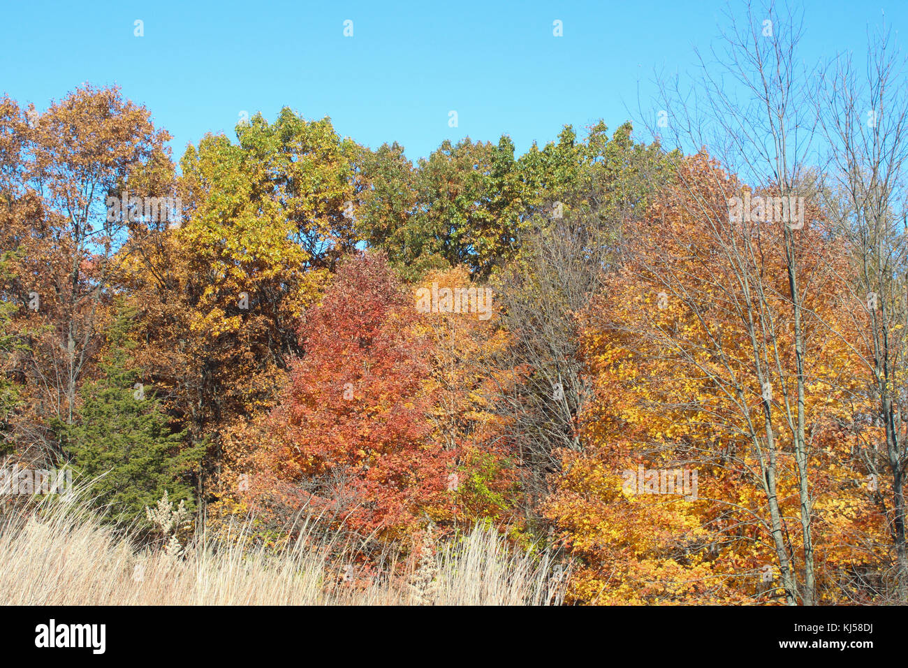 Fall color landscapes hi-res stock photography and images - Alamy