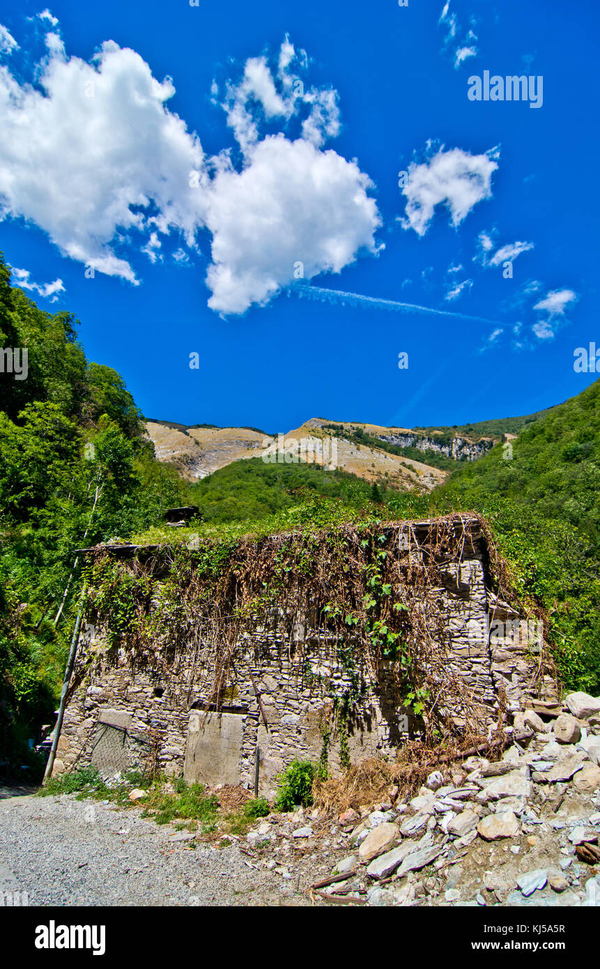 stone building collapsed due to the earthquake and flooded by plants ...
