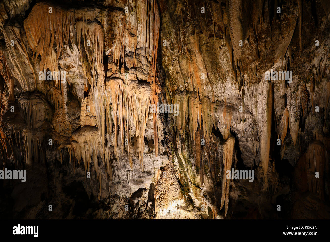 Postojnska jama hi-res stock photography and images - Alamy