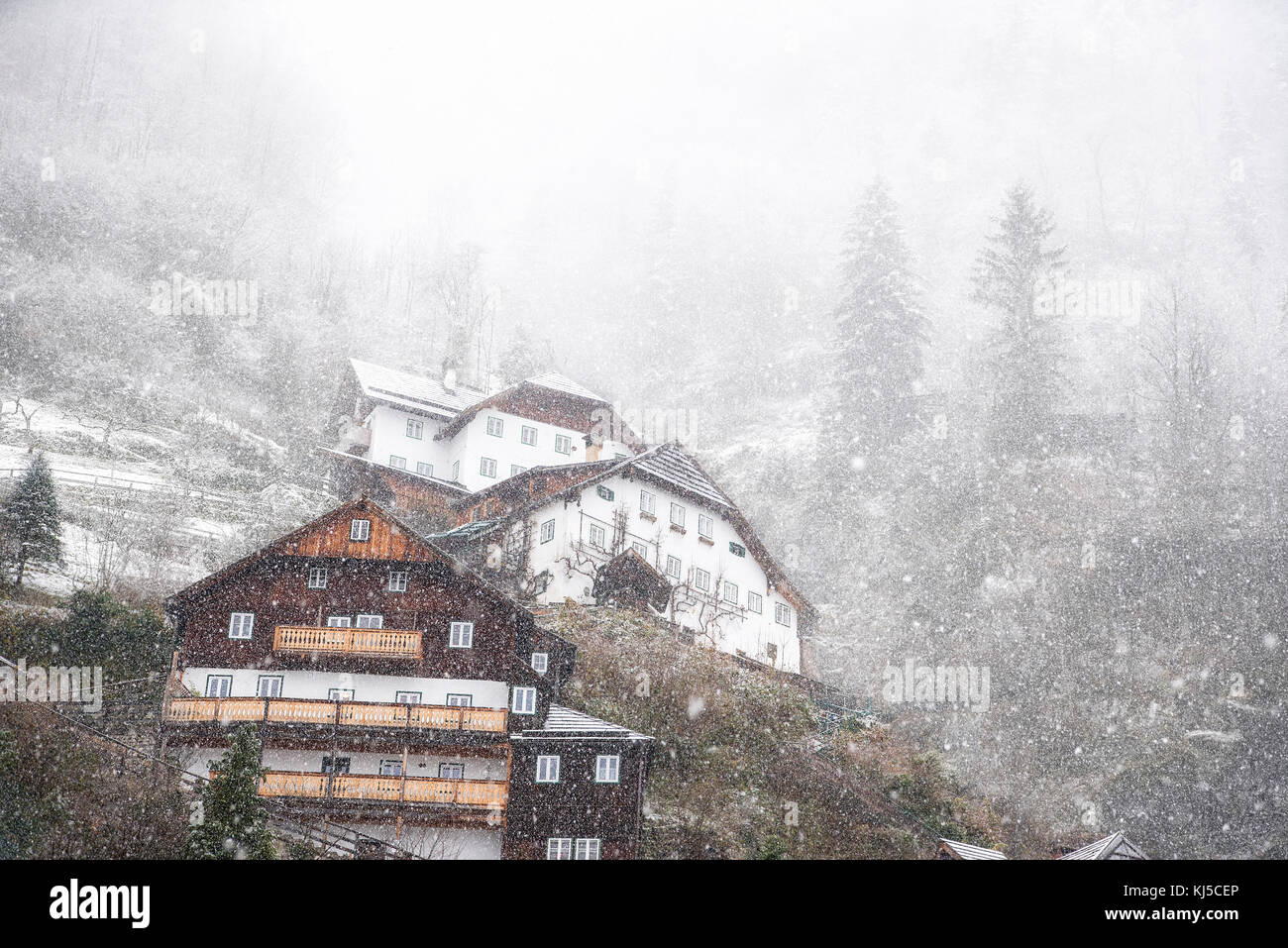 Austrian houses in the forest, on the Northern Limestone Alps, while ...