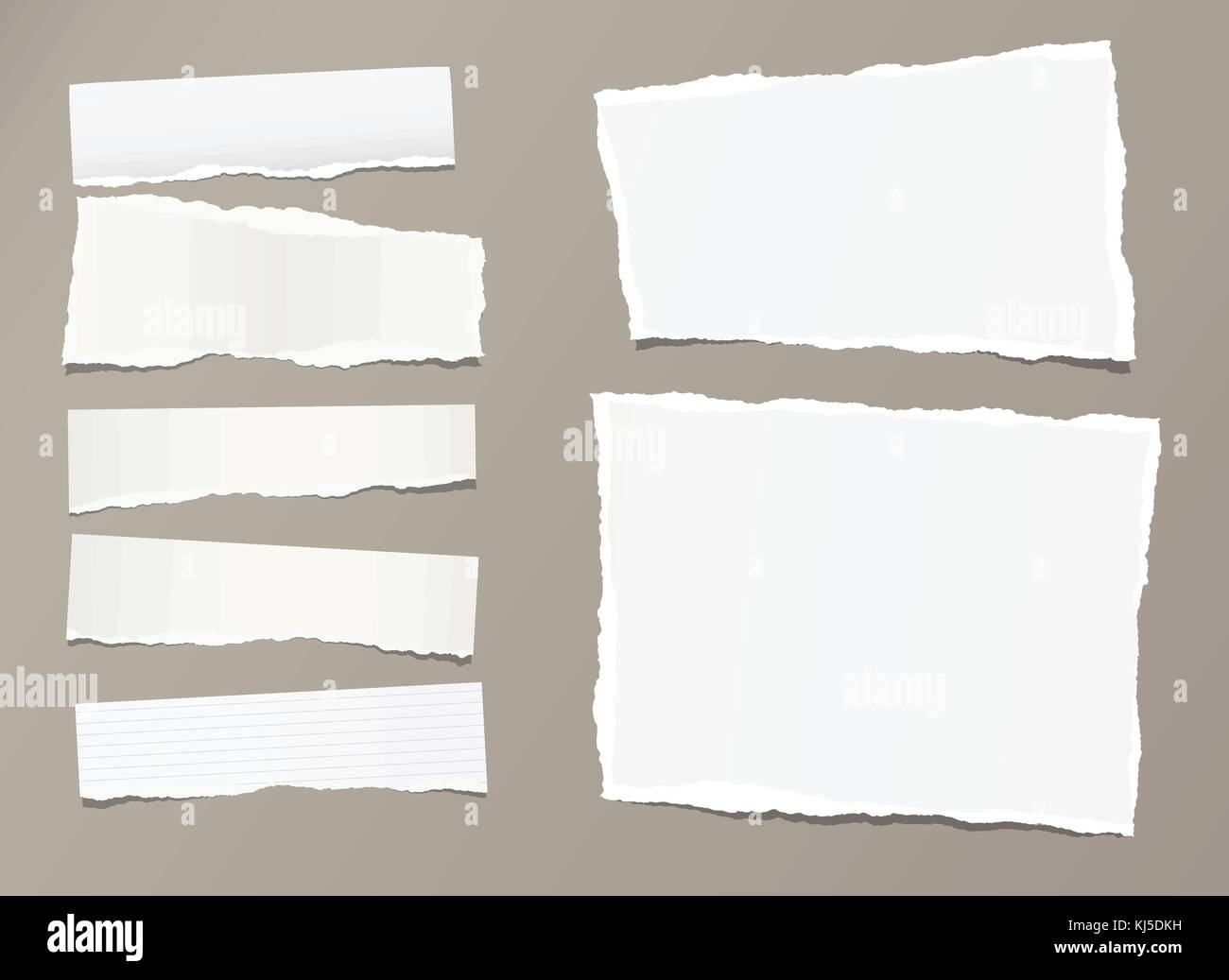 White ripped strips, notebook, note paper for text or message stuck on ...