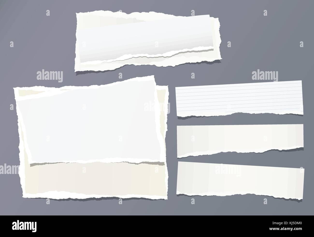 White ripped strips, notebook, note paper for text or message stuck on ...