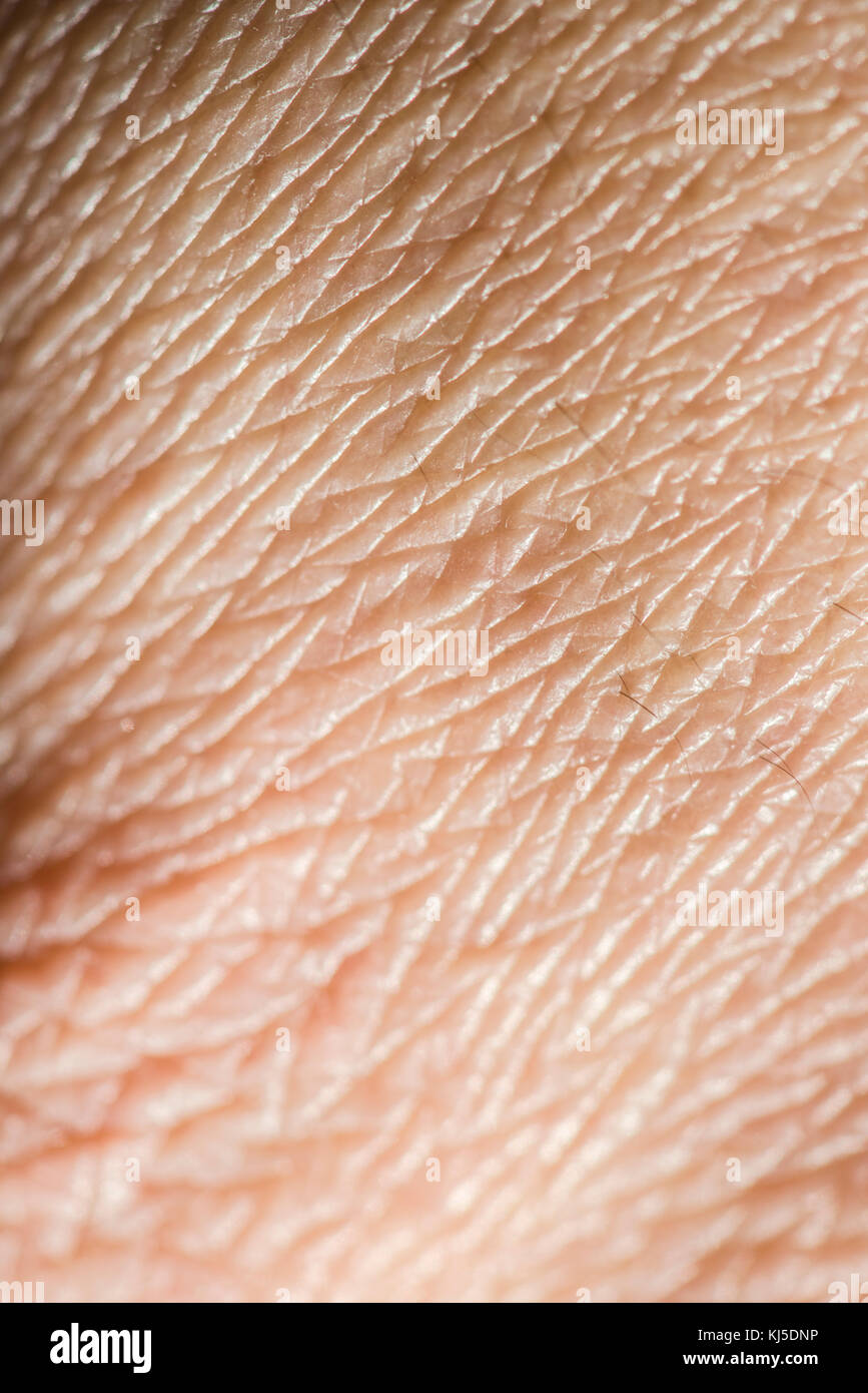 Human skin close up background Stock Photo - Alamy