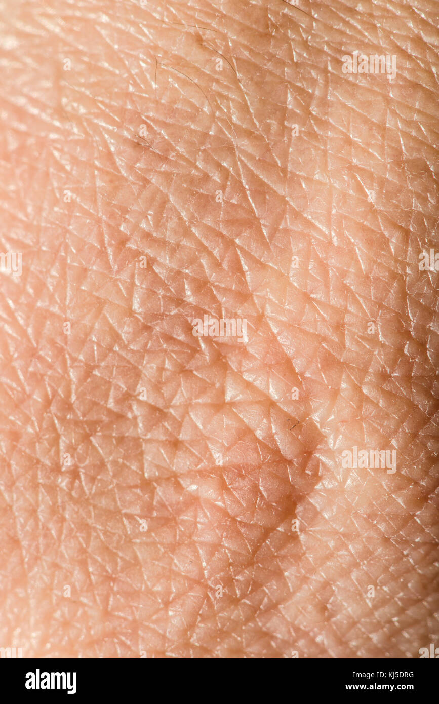 Human skin close up background Stock Photo - Alamy