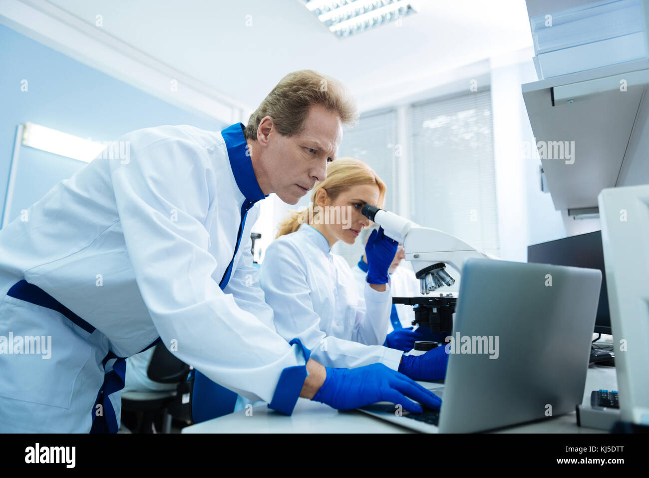 Serious experts working in the lab Stock Photo - Alamy