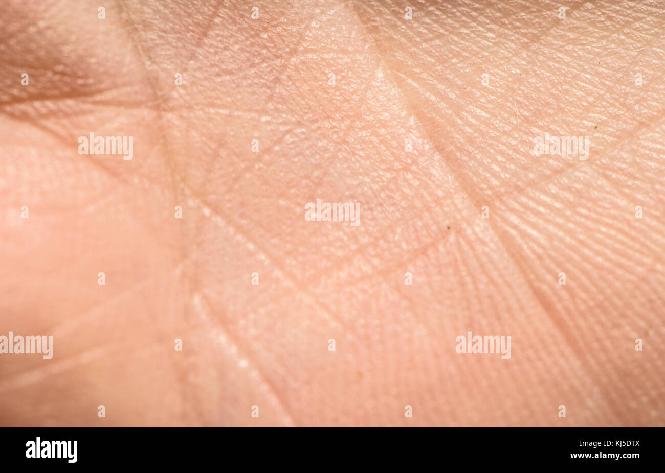 Human skin close up background Stock Photo - Alamy