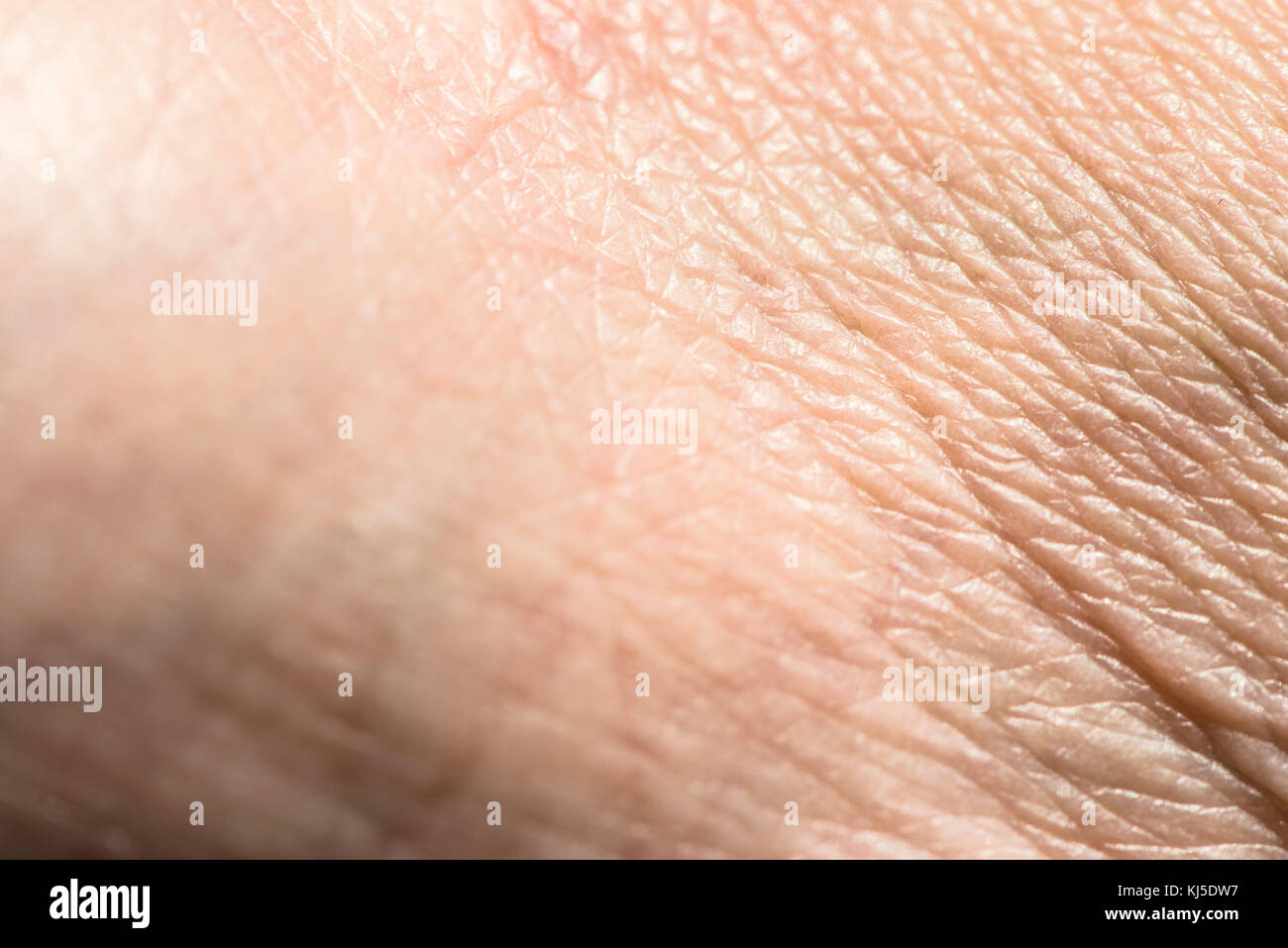 Human skin close up background Stock Photo - Alamy