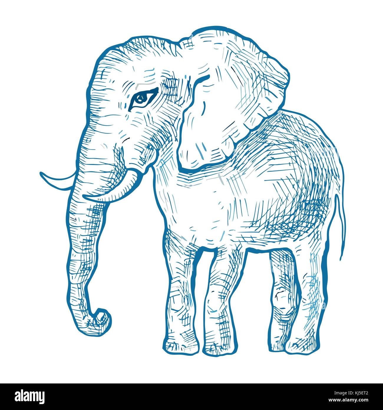 Elephant. Vector illustration Stock Vector Image & Art - Alamy