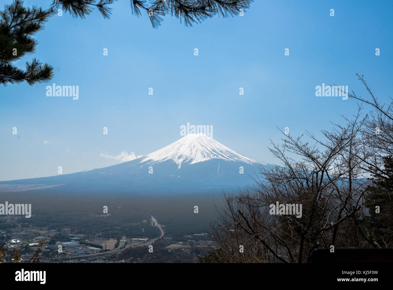 Mt. Fuji (Fujisan) behind the forest, Volcano in Japan Stock Photo - Alamy