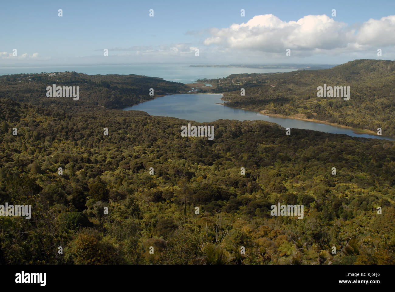 View from Arataki Nature Centre walk way, Arataki Visitor Centre ...