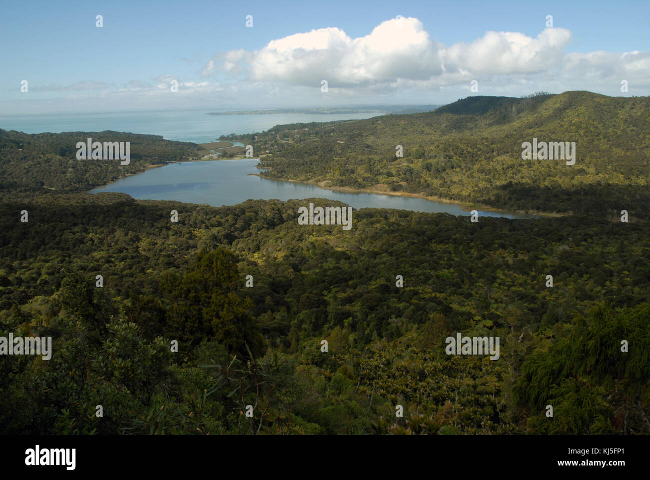 View from Arataki Nature Centre walk way, Arataki Visitor Centre ...