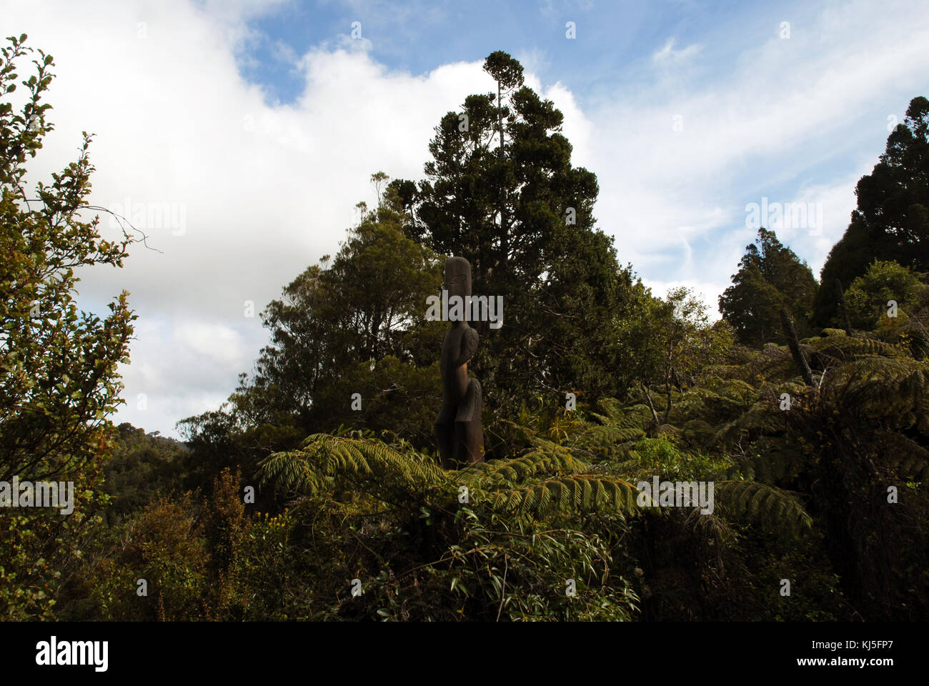 View from Arataki Nature Centre walk way, Arataki Visitor Centre ...