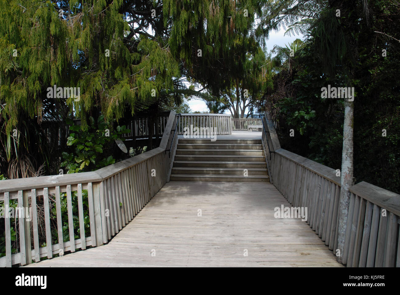 Arataki Nature Centre walk way, Arataki Visitor Centre, Waitakere ...