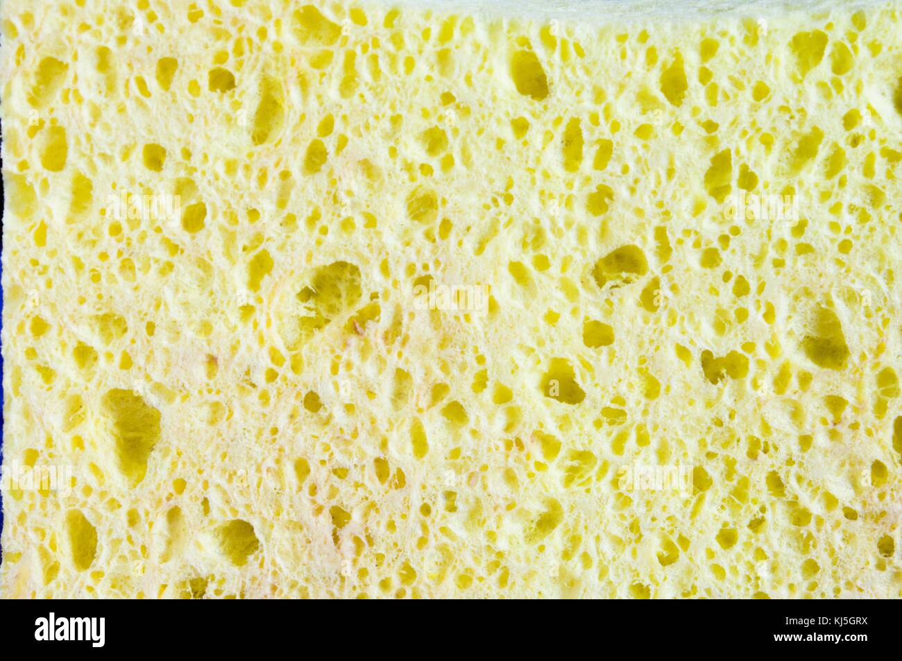 Image macro of yellow sponge Stock Photo - Alamy