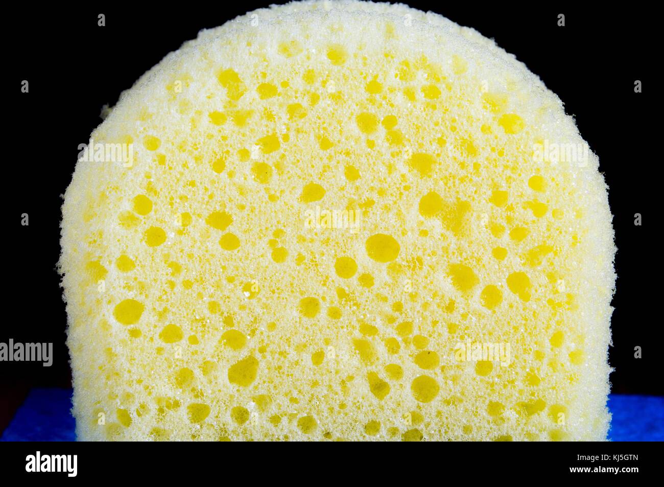Yellow circular sponge on blue sponge and black bottom Stock Photo - Alamy
