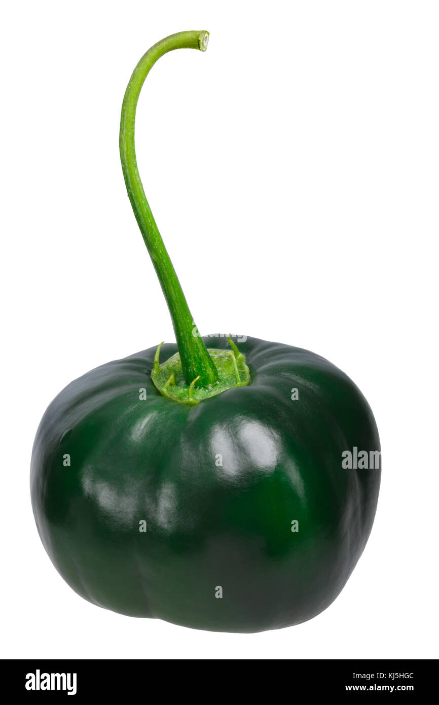 Manzano chile pepper or Rocoto (Capsicum pubescens fruit), green ...