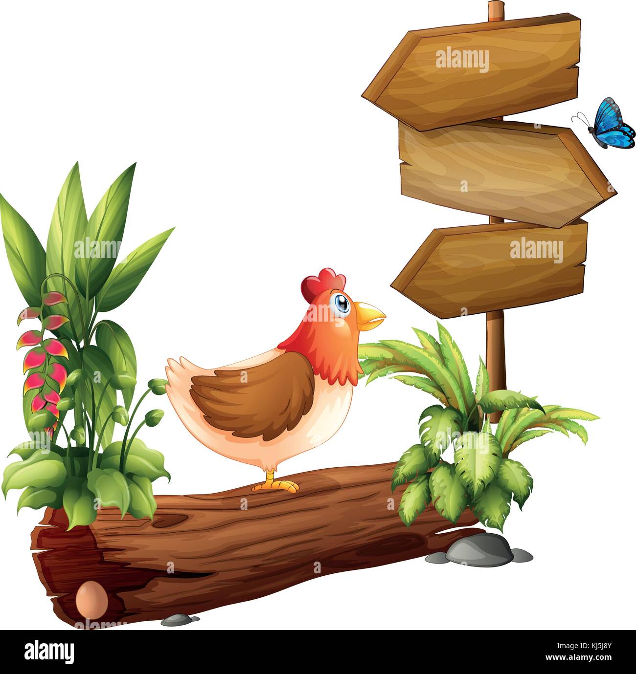 Illustration of a chicken and a butterfly near the wooden arrows on a ...