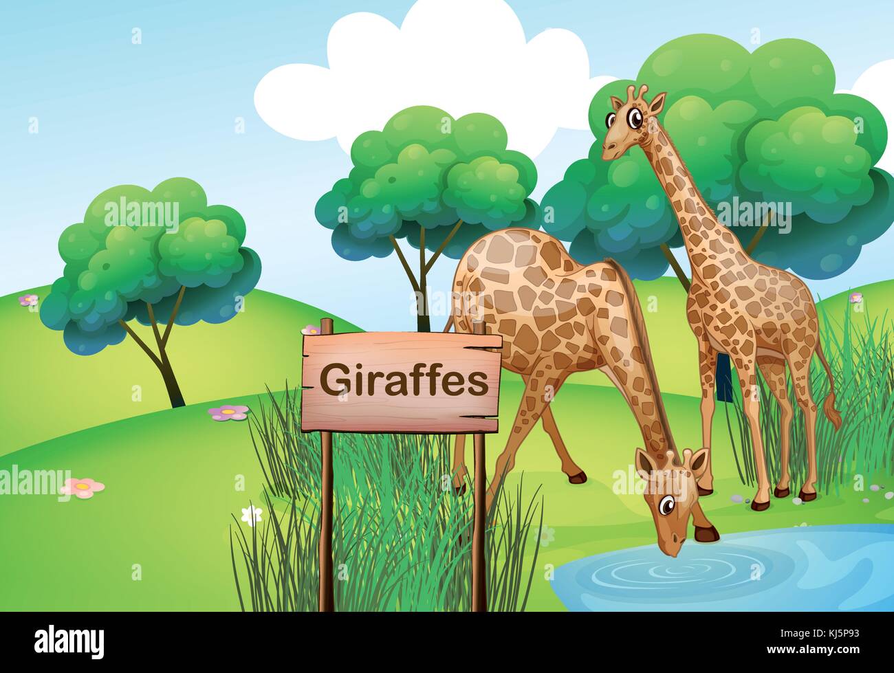 Illustration of the two giraffes at the forest with a wooden sign board ...