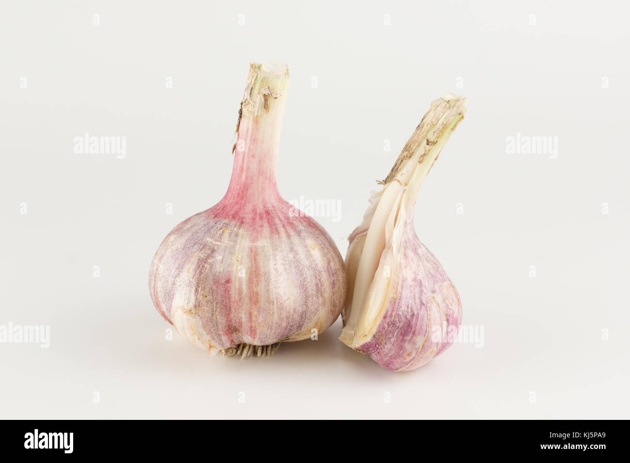 Head of garlic close-up isolated on white background Stock Photo - Alamy