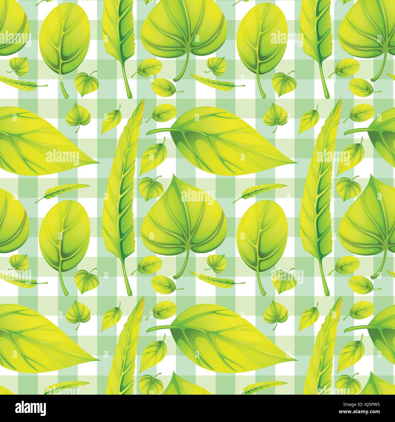 Illustration of the different sizes and shapes of a leaf Stock Vector ...