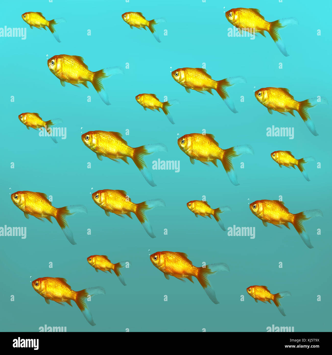 Illustrative background of many red freshwater fish Stock Photo - Alamy